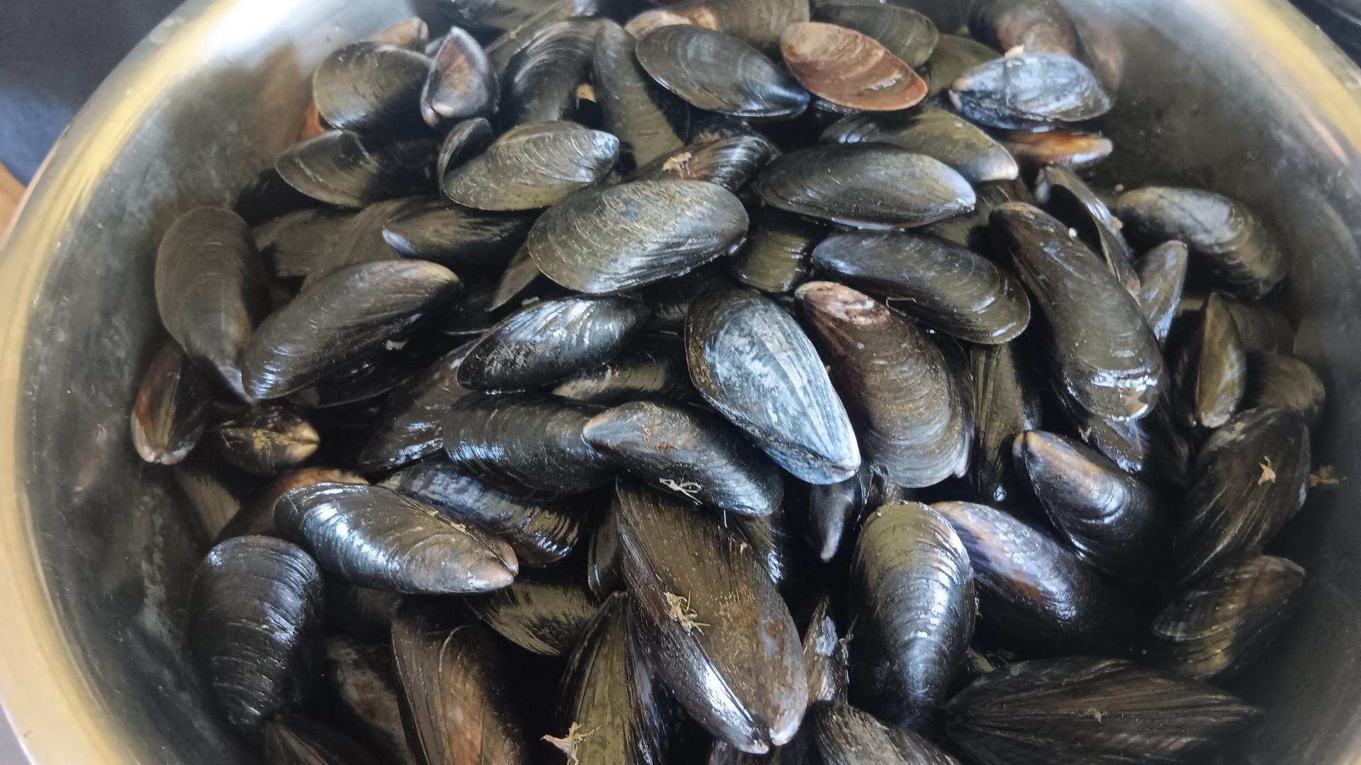 Recette : Les moules à la normandes | Office de Tourisme Terroir de ...